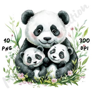 10 PNG Cute Panda Mother Clipart, Watercolor Mom Panda and Her Cubs ...