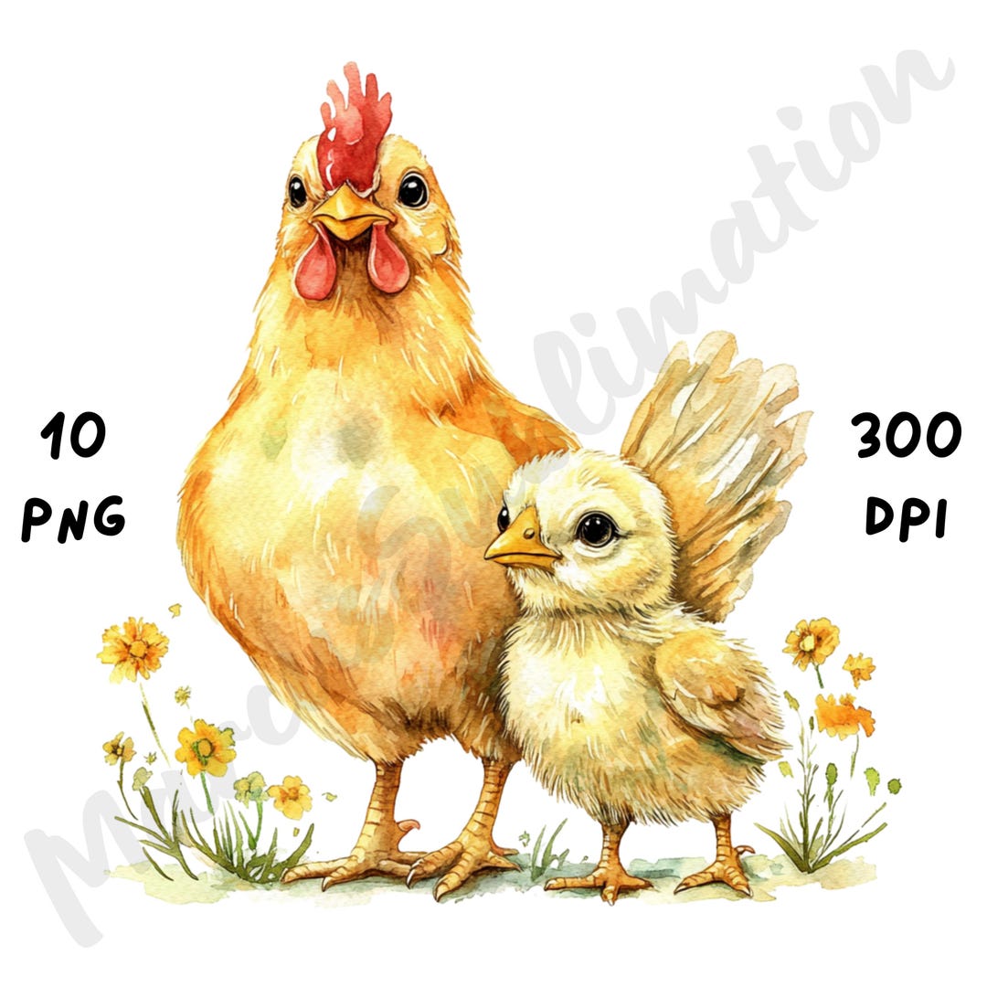 10 PNG Cute Chicken Mother Clipart, Watercolor Mom Chick and Cubs ...