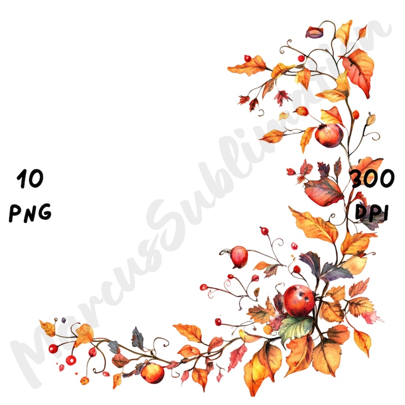 10 PNG Quirky Fall Ornament Border Clipart, Whimsical Autumn ...