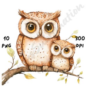 10 PNG Cute Owl Mother Clipart, Watercolor Mom Owl and Her Cubs ...