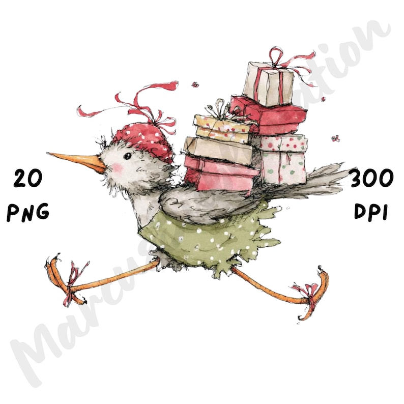 Whimsical Birthday Birds Clipart, Quirky Party Characters PNG ...
