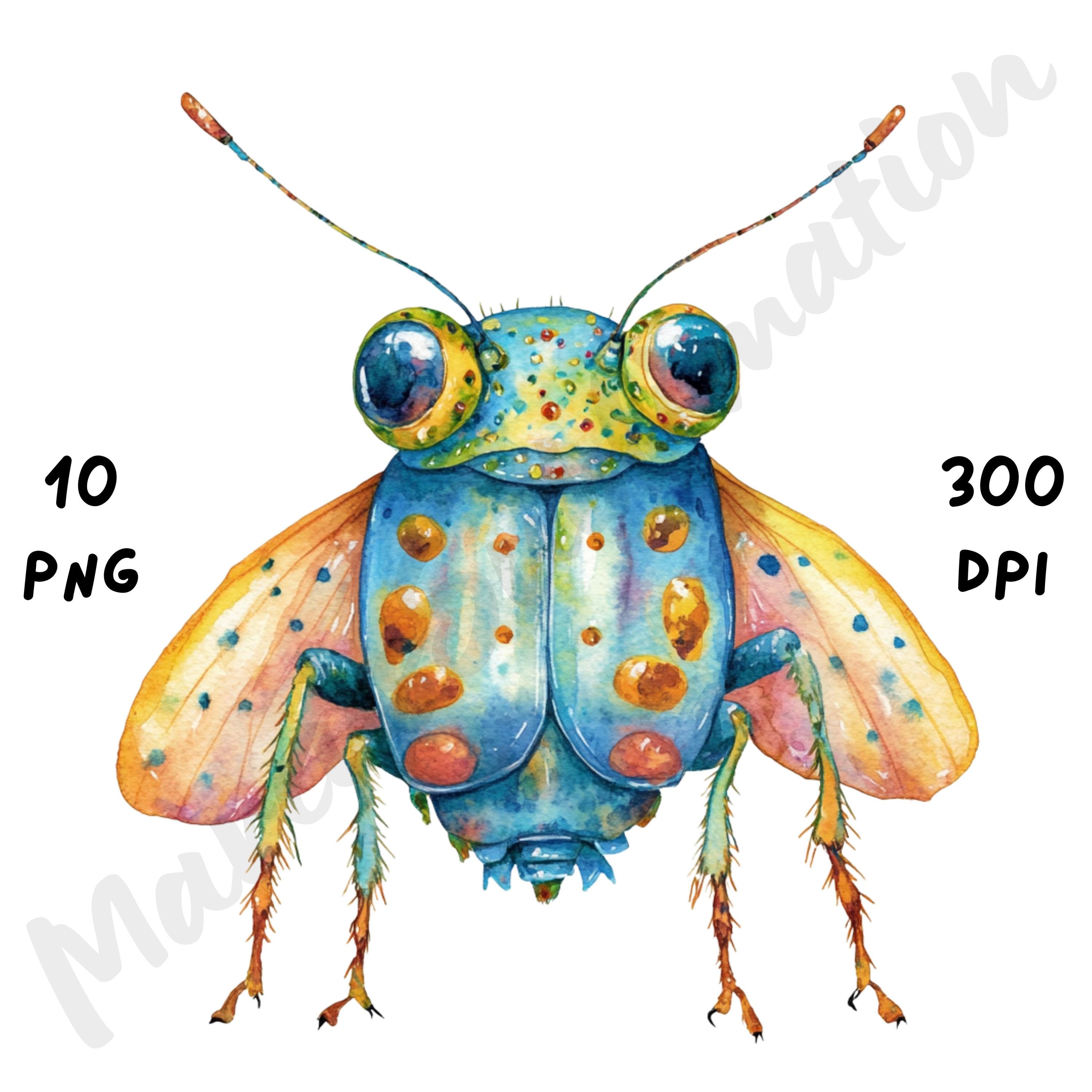 10 PNG Quirky Insect Clipart, Cartoon Whimsical Funny Insect ...