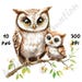 10 PNG Cute Owl Mother Clipart, Watercolor Mom Owl and Her Cubs ...