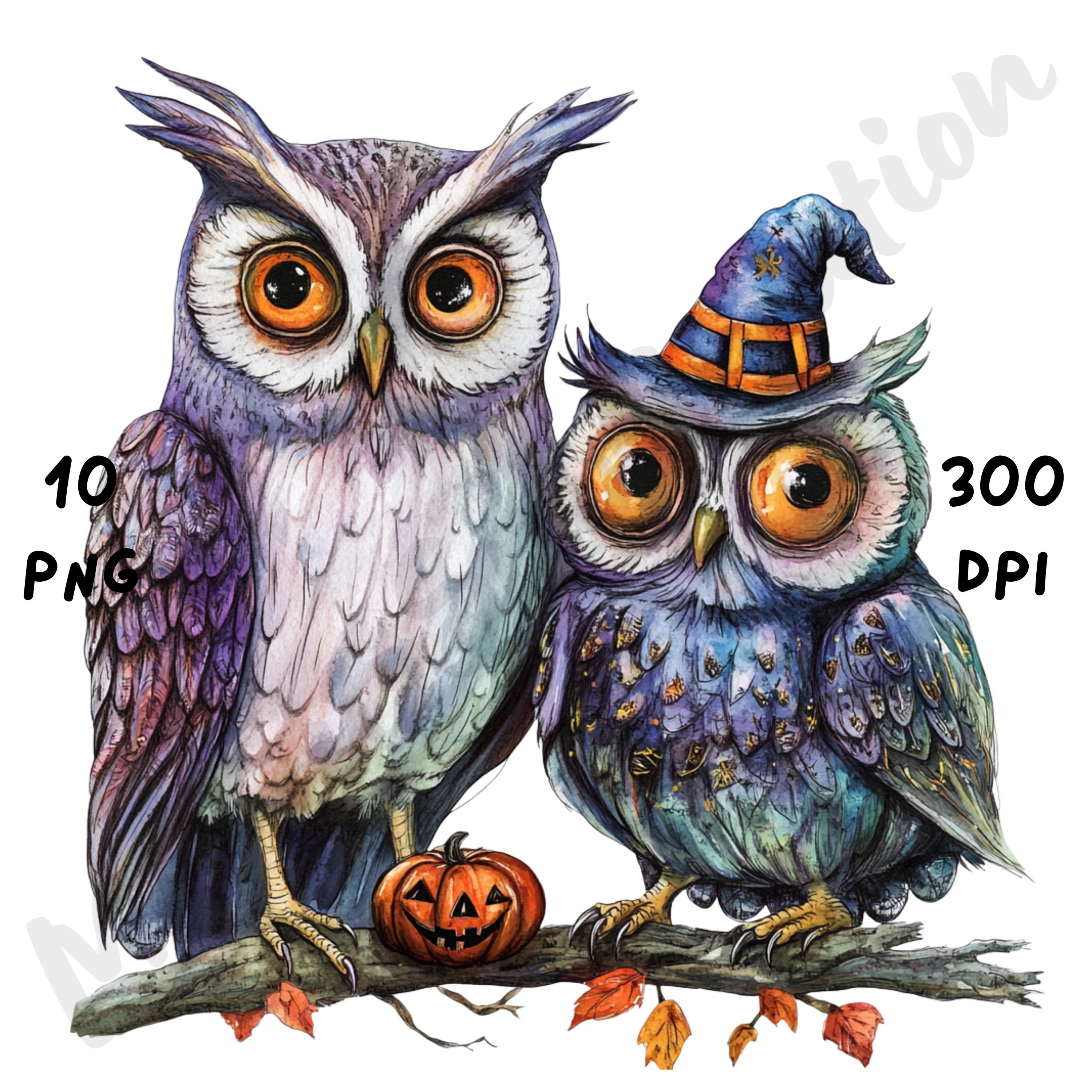 10 PNG Quirky Halloween Owls Clipart, Watercolor Cartoon Animal ...