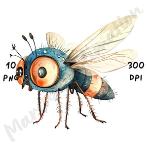 10 PNG Quirky Fly Clipart – Cartoon Whimsical Funny Animal Design ...