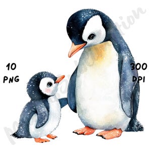 10 PNG Cute Penguin Mother Clipart, Watercolor Mom Penguin and Her Cubs ...