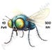 10 PNG Quirky Fly Clipart – Cartoon Whimsical Funny Animal Design ...