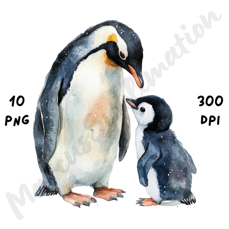 10 PNG Cute Penguin Mother Clipart, Watercolor Mom Penguin and Her Cubs ...