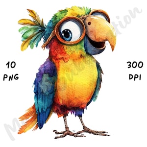 10 PNG Quirky Parrot Clipart – Whimsical Funny Cartoon Bird, Sassy ...