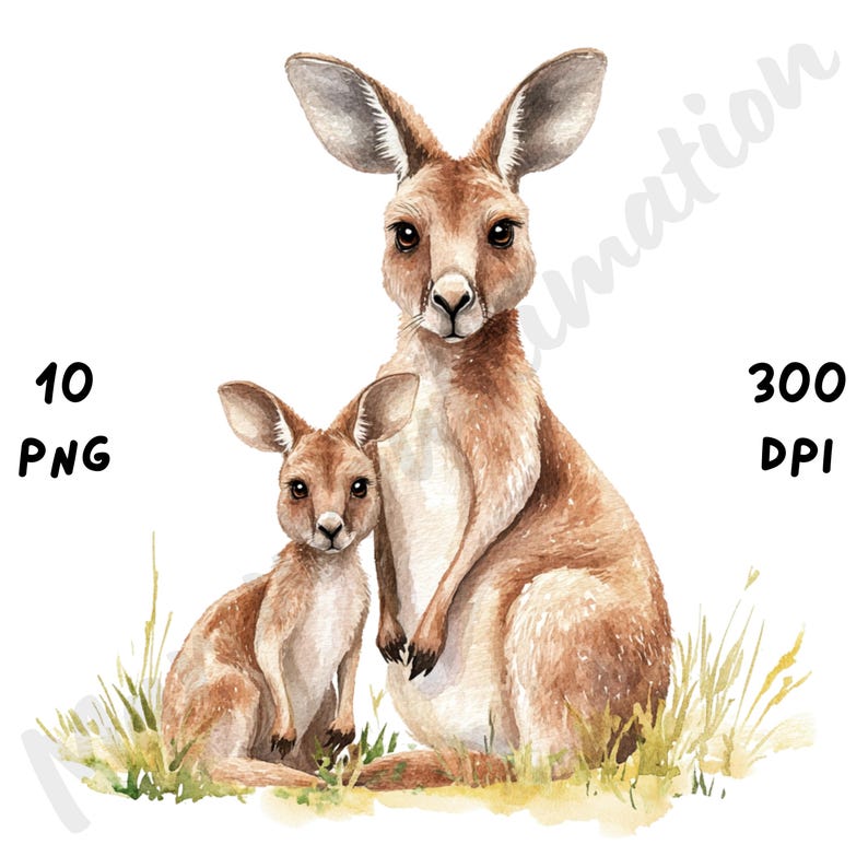 10 PNG Cute Kangaroo Mother Clipart, Watercolor Mom Kangaroo and Cubs ...
