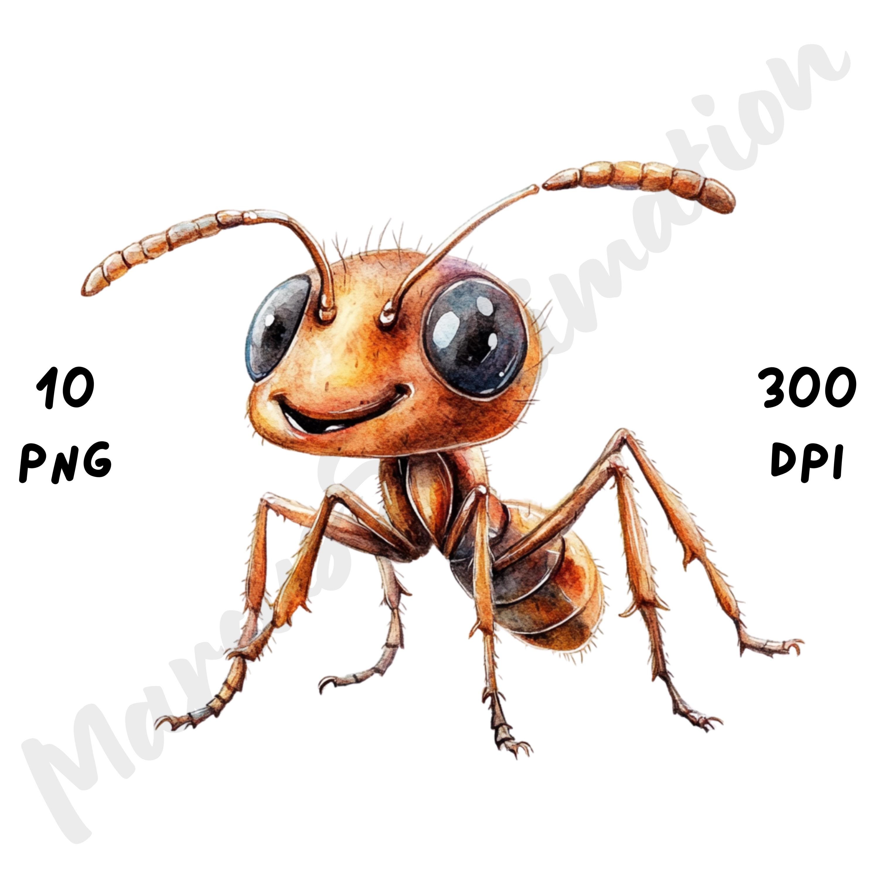 10 PNG Quirky Ant Clipart, Cartoon Whimsical Funny Insect, Watercolor ...