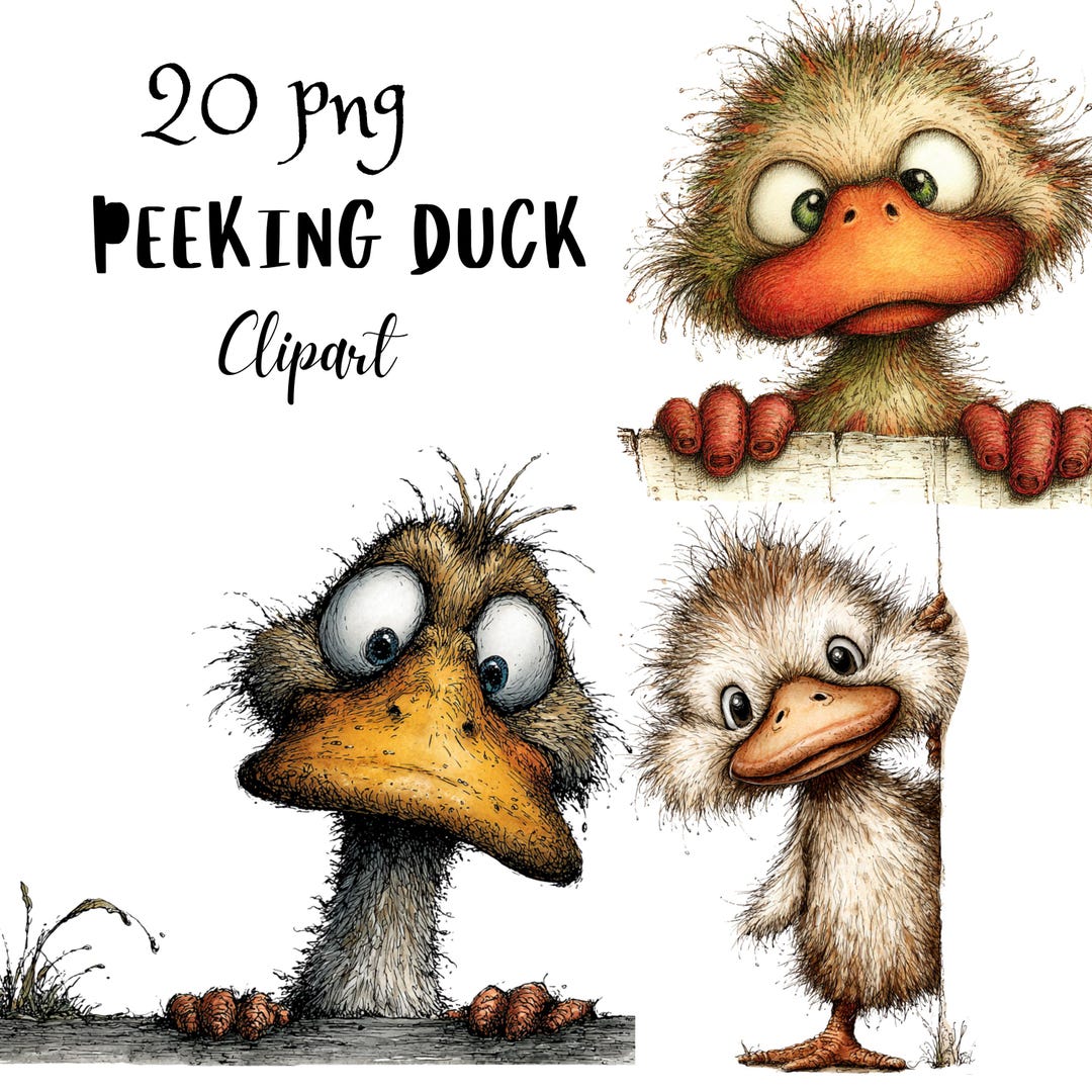 Peeking Duck Clipart, Quirky Peeker Cute Farm Bird PNG Set, Whimsical ...