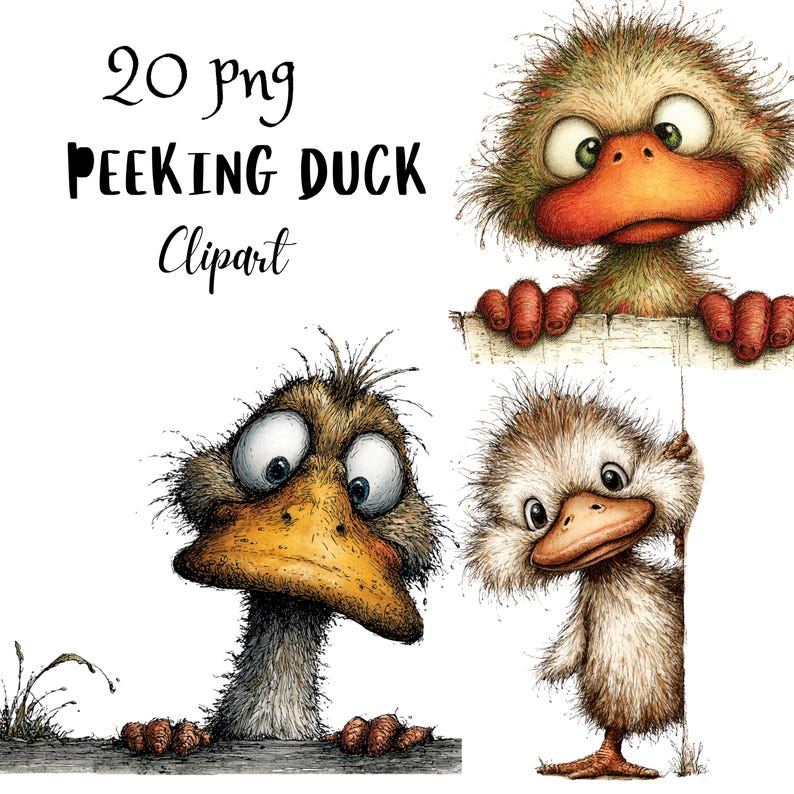 Peeking Duck Clipart, Quirky Peeker Cute Farm Bird PNG Set, Whimsical ...