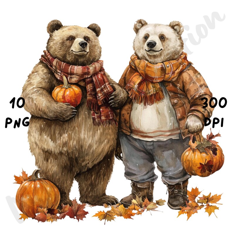 10 PNG Quirky Fall Bears Clipart, Whimsical Funny Autumn Woodland ...