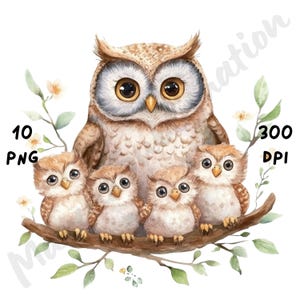 10 PNG Cute Owl Mother Clipart, Watercolor Mom Owl and Her Cubs ...
