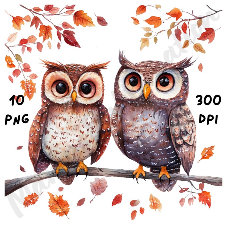 10 PNG Quirky Fall Owls Clipart, Whimsical Funny Autumn Animal ...