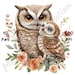 10 PNG Cute Owl Mother Clipart, Watercolor Mom Owl and Her Cubs ...