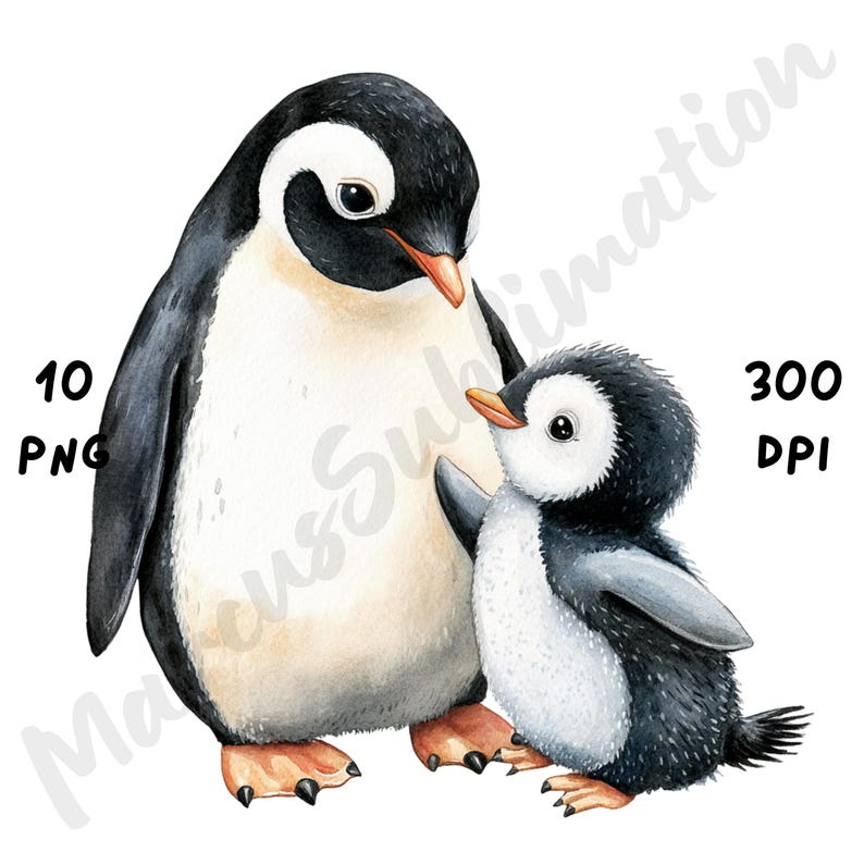 10 PNG Cute Penguin Mother Clipart, Watercolor Mom Penguin and Her Cubs ...