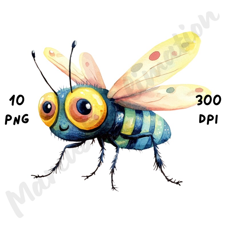 10 PNG Quirky Fly Clipart – Cartoon Whimsical Funny Animal Design ...