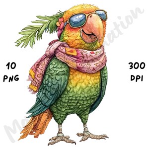 10 PNG Quirky Parrot Clipart – Whimsical Funny Cartoon Bird, Sassy ...