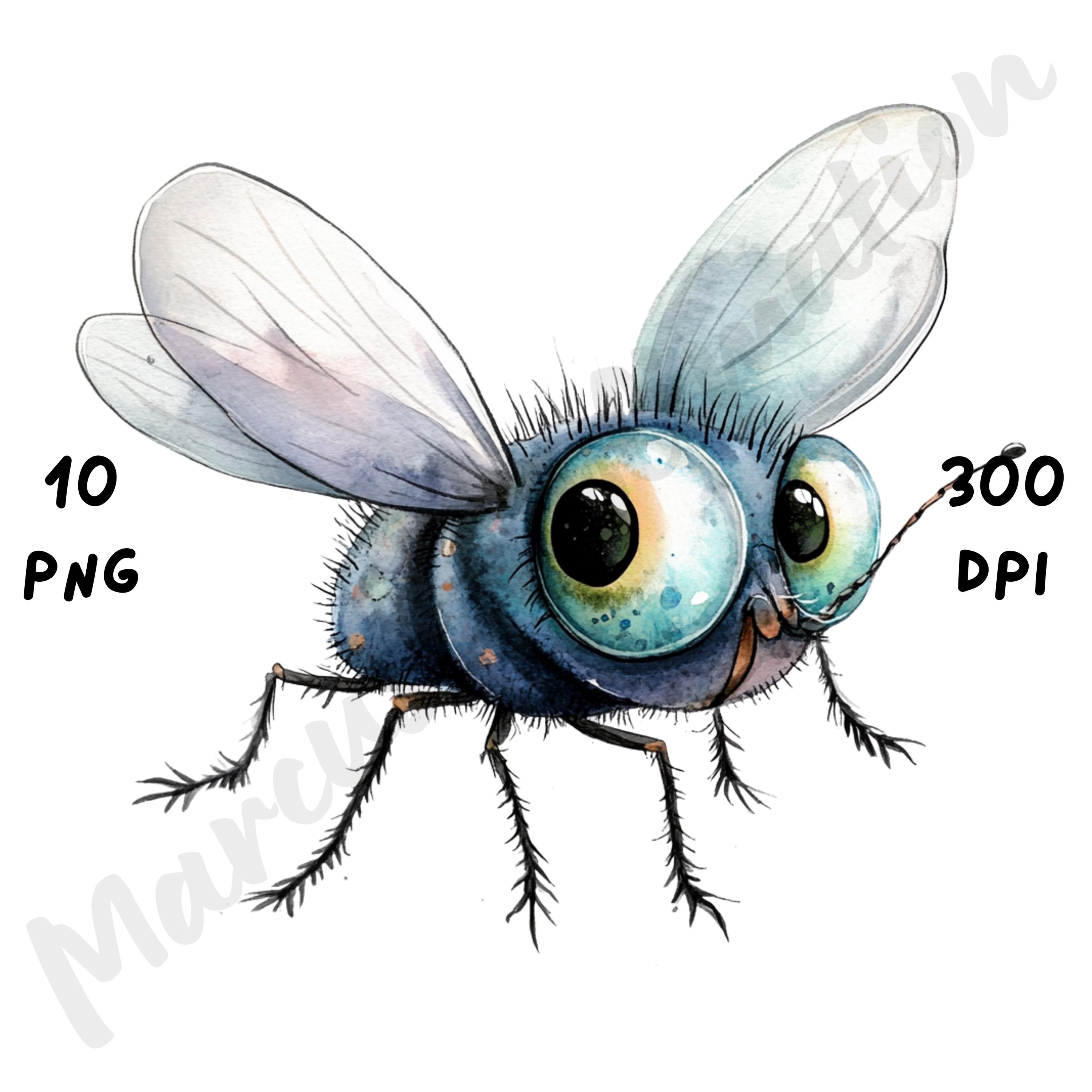 10 PNG Quirky Fly Clipart – Cartoon Whimsical Funny Animal Design ...
