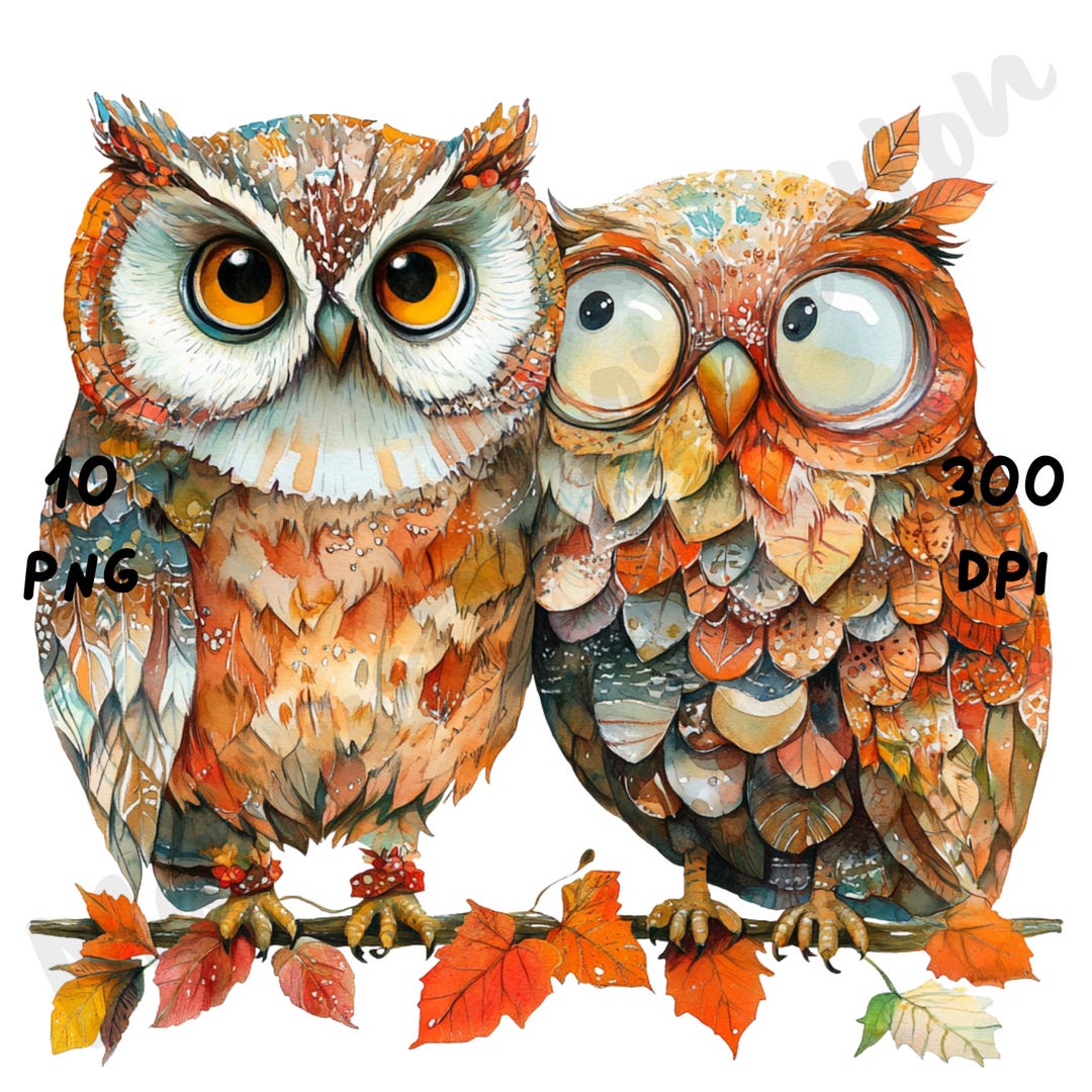 10 PNG Quirky Fall Owls Clipart, Whimsical Funny Autumn Animal ...