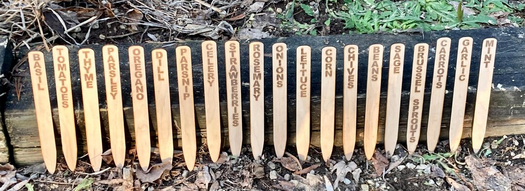Laser Engraved Garden Stakes: 150 Herb, Vegetable, Tree Labels (digital ...