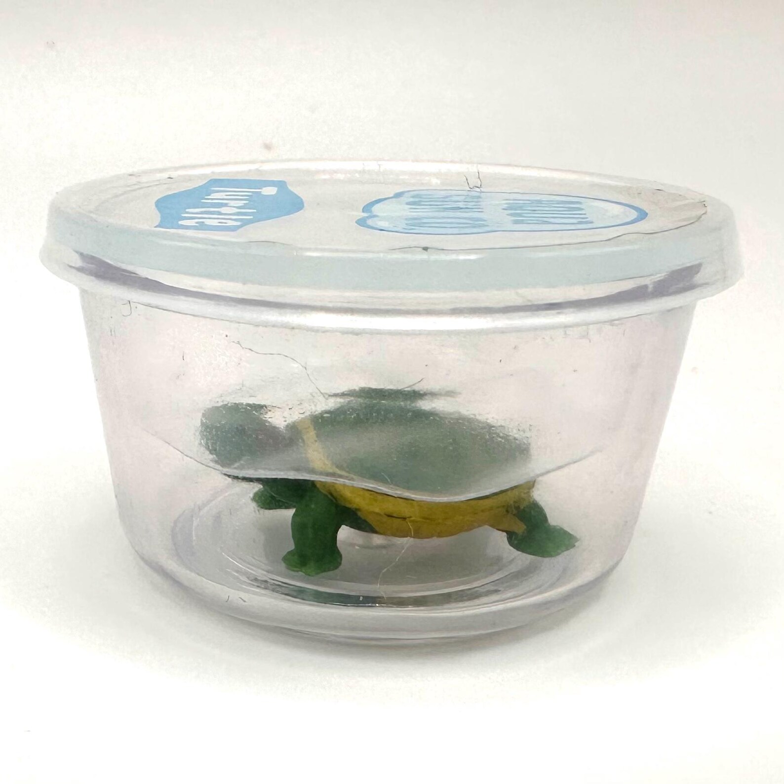 Miniverse Lifestyle - Red-eared Slider Turtle - Miniverse Red-eared ...