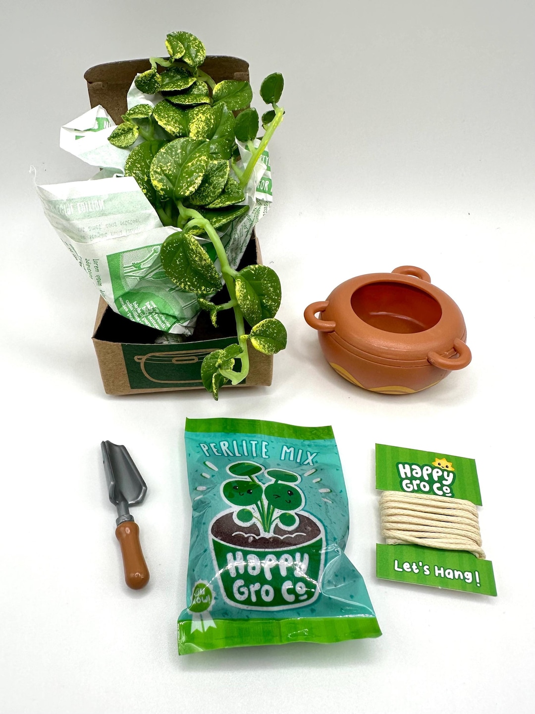 Miniverse Lifestyle Home - Hanging Pothos - Miniverse Hanging Pothos ...