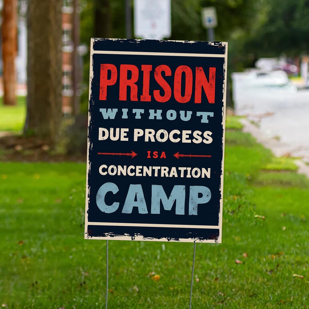 Due Process Resist No Kings Protest Sign, Anti-trump Resistance ...