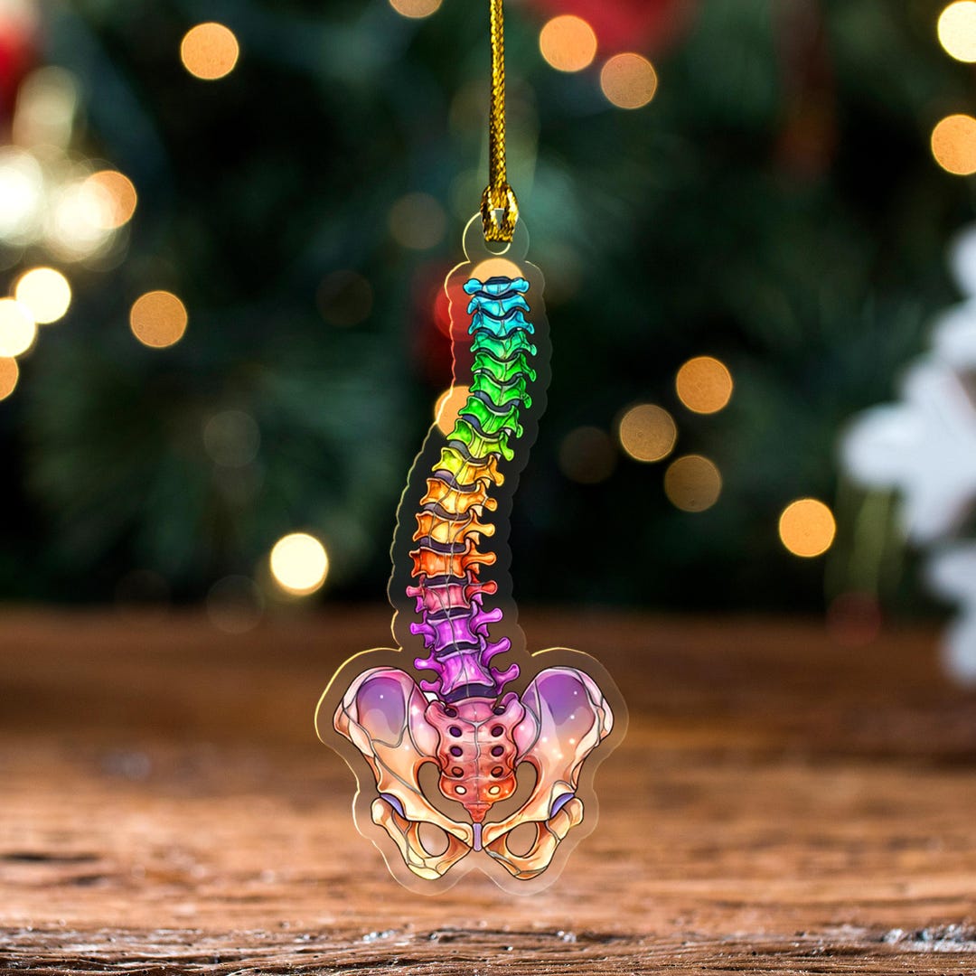 Christmas Spine Anatomy Ornament, Personalized Ornament, 2D Flat ...