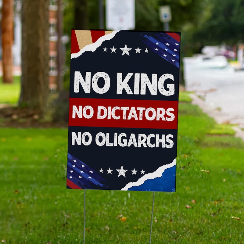 Democracy Protest Sign - Etsy