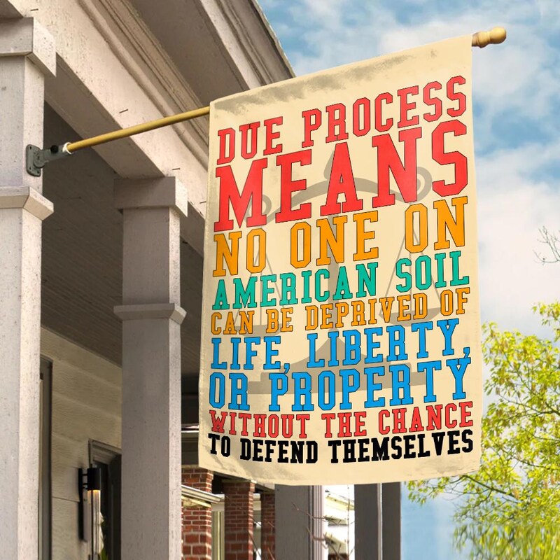 Due Process Protest Signs - Etsy