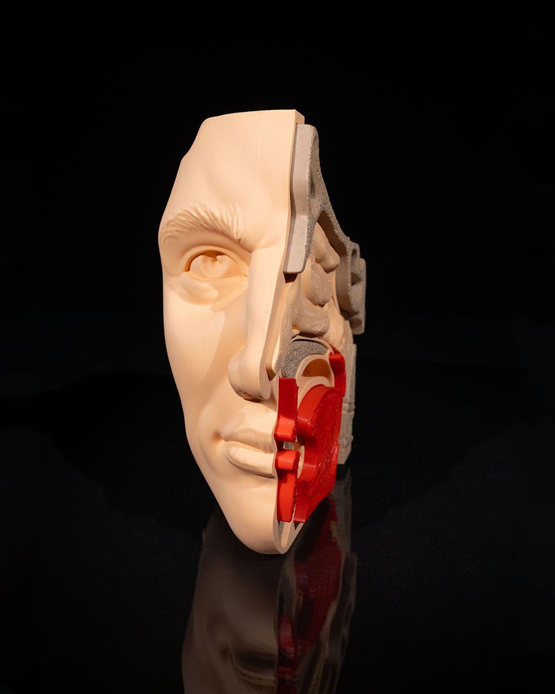 Nose and Sinus Model - Educational Tool - Etsy