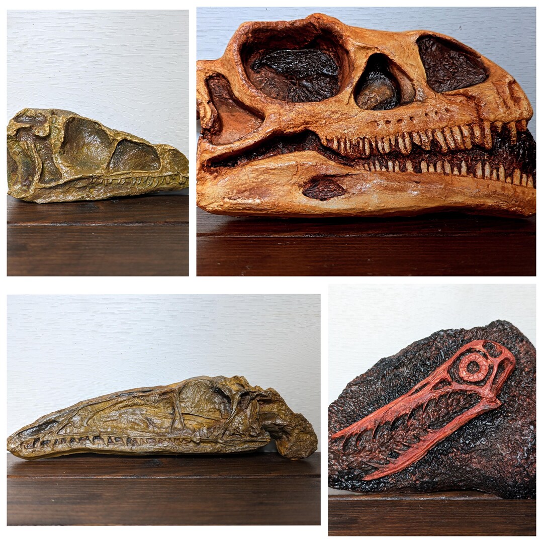 Dinosaur Skull Relpicas Pterosaur Raptor Coelophysis Massospondylus - Etsy