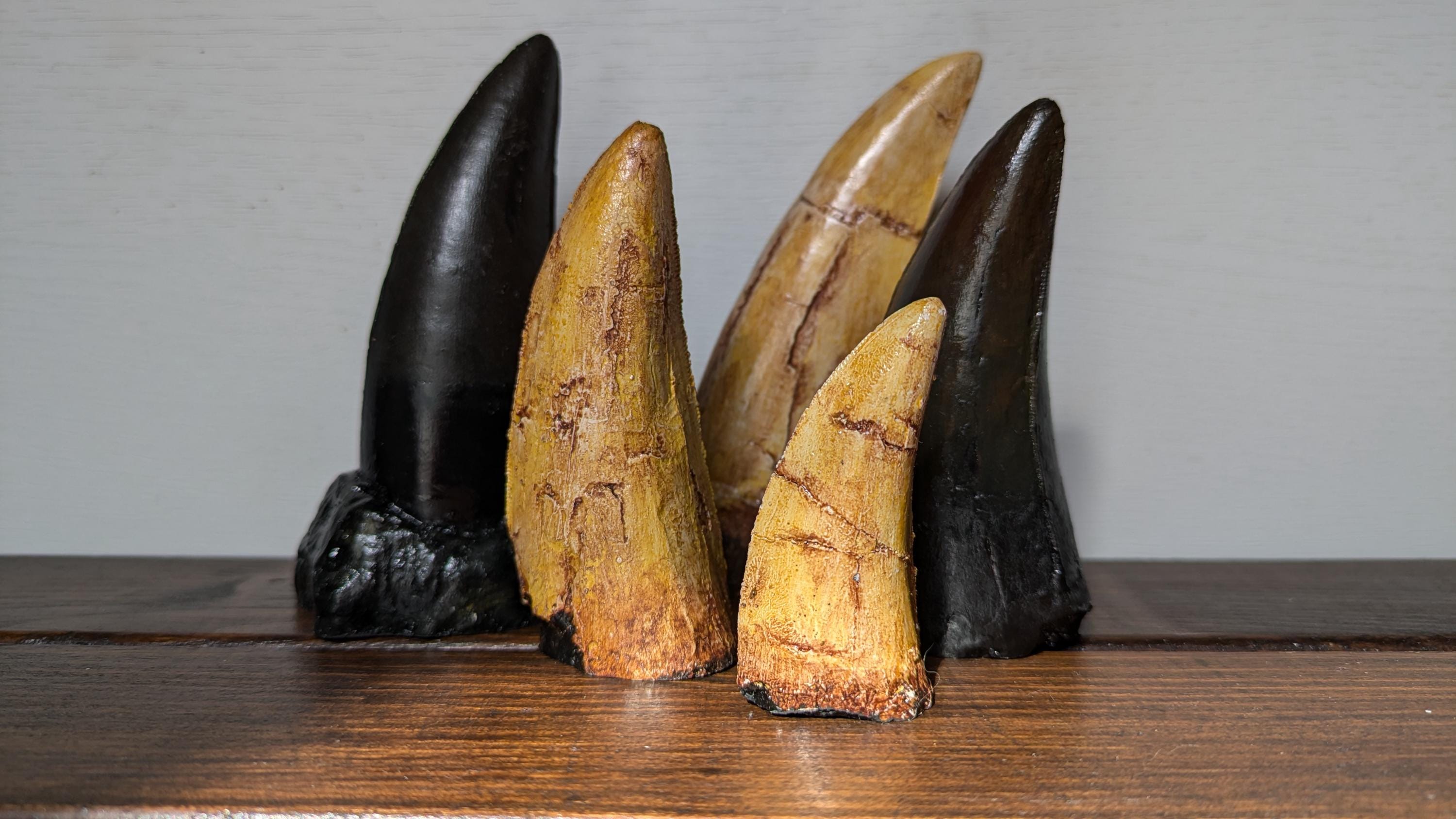 Tyrannosaurus Rex Teeth Replicas - Etsy