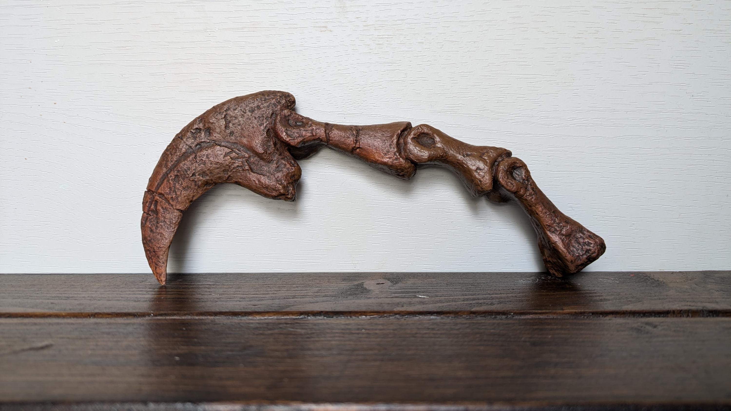 Dinosaur Claw Replicas | Raptor | Spinosaurus | Tyrannosaurus ...