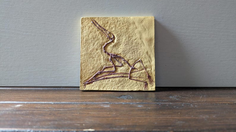 Pterosaur Skeleton Replicas | Scaphognathus | Sordes | Pterodactyl - Etsy