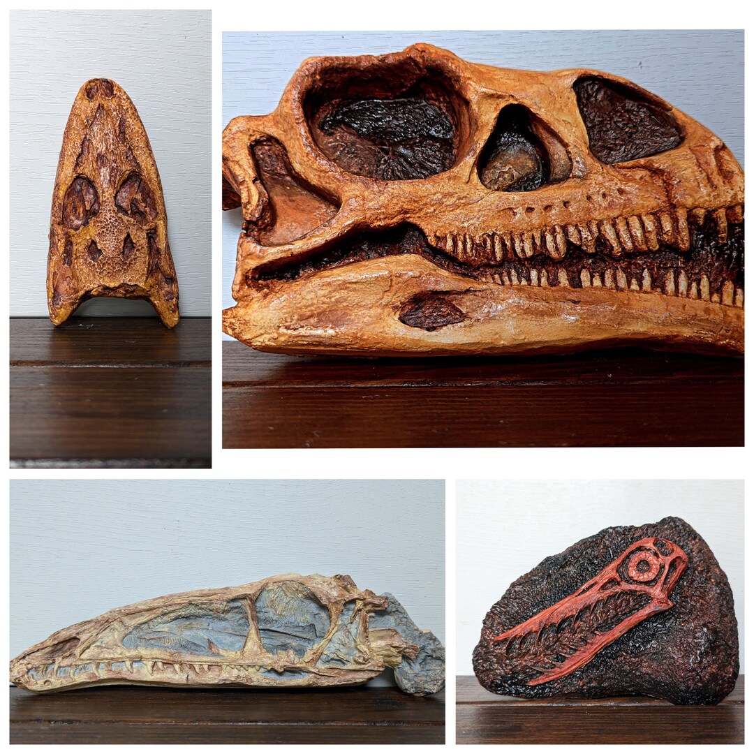 Dinosaur Skull Relpicas | Pterosaur | Raptor | Coelophysis ...
