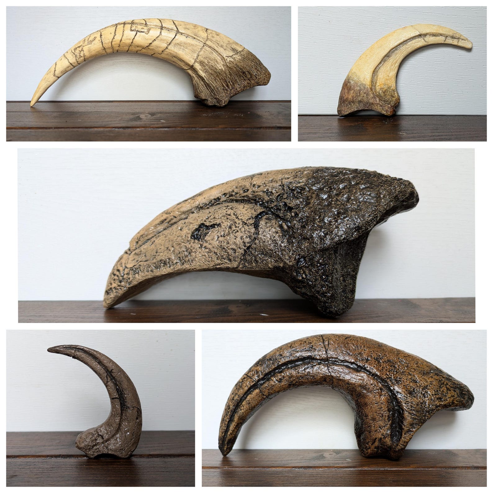 Dinosaur Claw Replicas | Raptor | Spinosaurus | Tyrannosaurus ...
