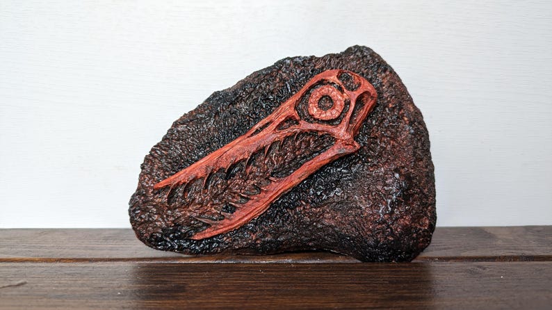 Dinosaur Skull Relpicas | Pterosaur | Raptor | Coelophysis ...