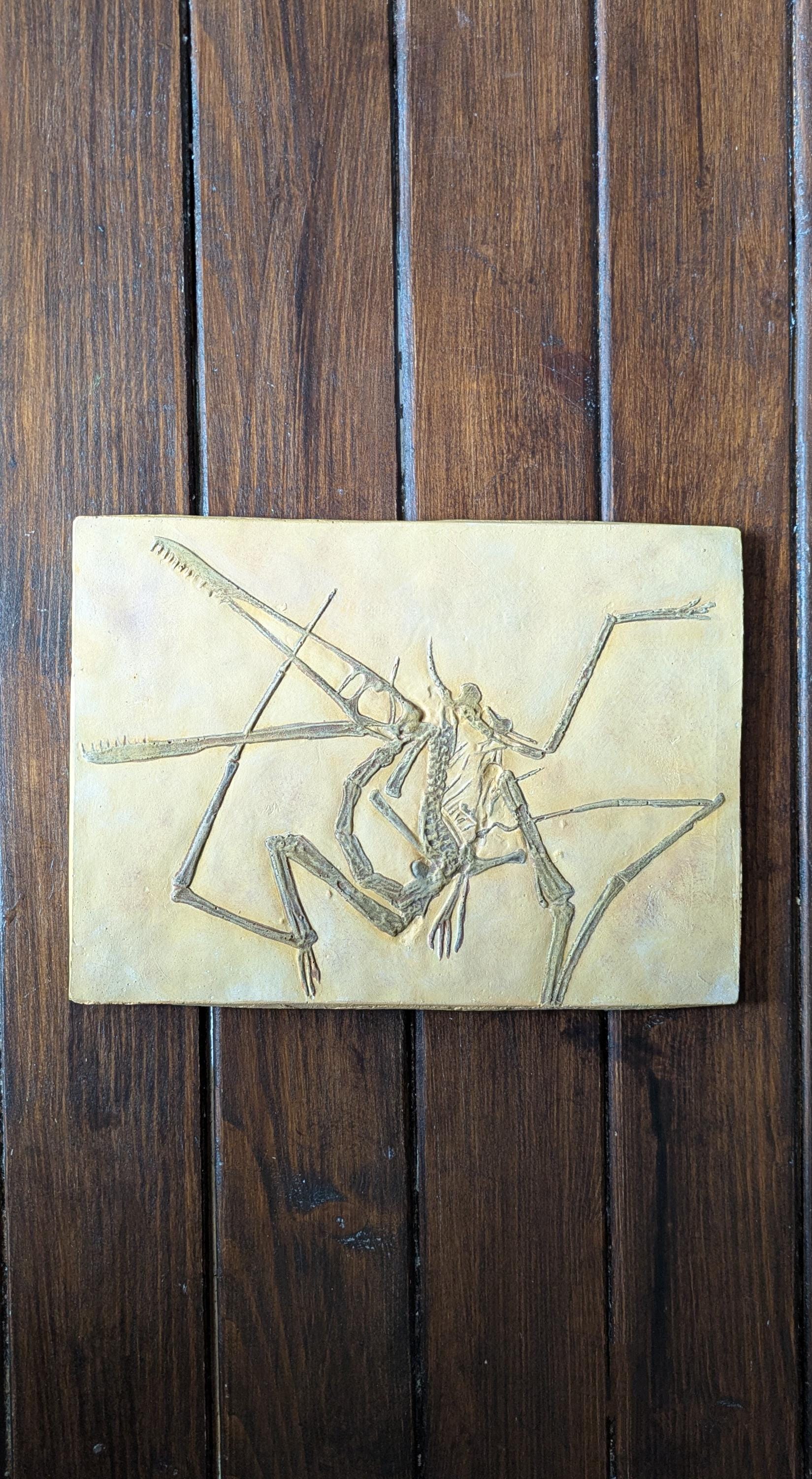 Pterosaur Skeleton Replicas | Scaphognathus | Sordes | Pterodactyl - Etsy