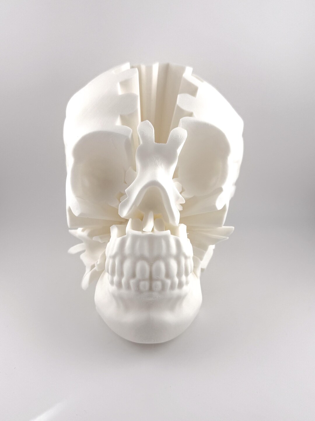 3D Printed Fidget Skull - Large, Intricate Design - Etsy