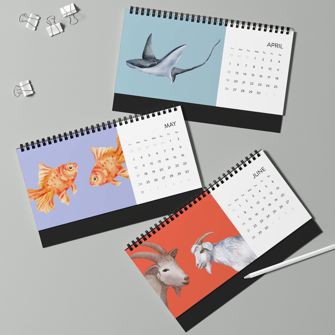 Adorable Animal Desk Calendar 2026,cute Animal Calendar 2026,animal ...