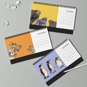 Adorable Animal Desk Calendar 2026,cute Animal Calendar 2026,animal ...