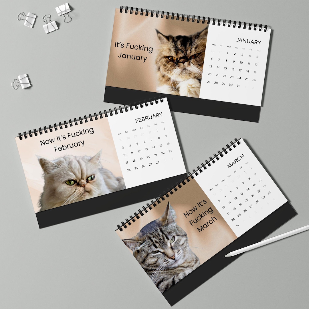 Grumpy Fucking Cat 2025 Desk Calendar,funny Cat Calendar 2025,grumpy ...