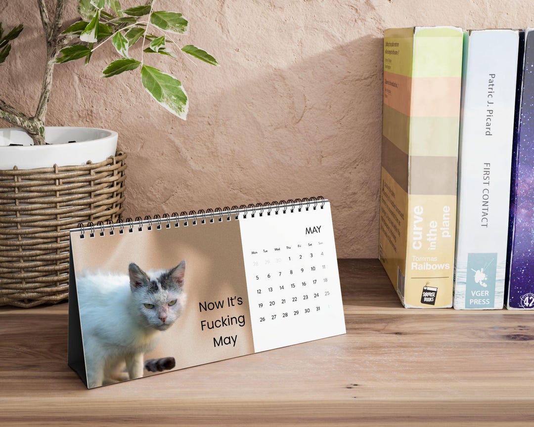 Grumpy Fucking Cat 2025 Desk Calendar,funny Cat Calendar 2025,grumpy ...