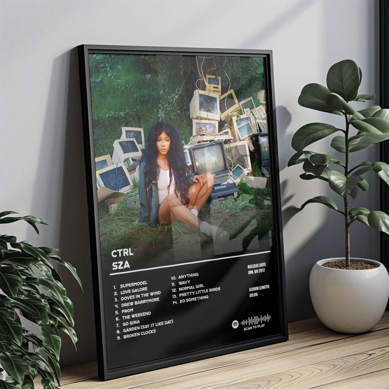 SZA CTRL Minimalistic Album Cover Poster Music Wall Art Affordable Gift Music Framed Poster ...