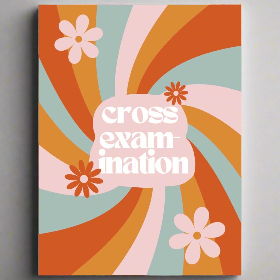 Lawyer Gifts and Wall Art Cross Examination Poster 18x24, Attorney ...