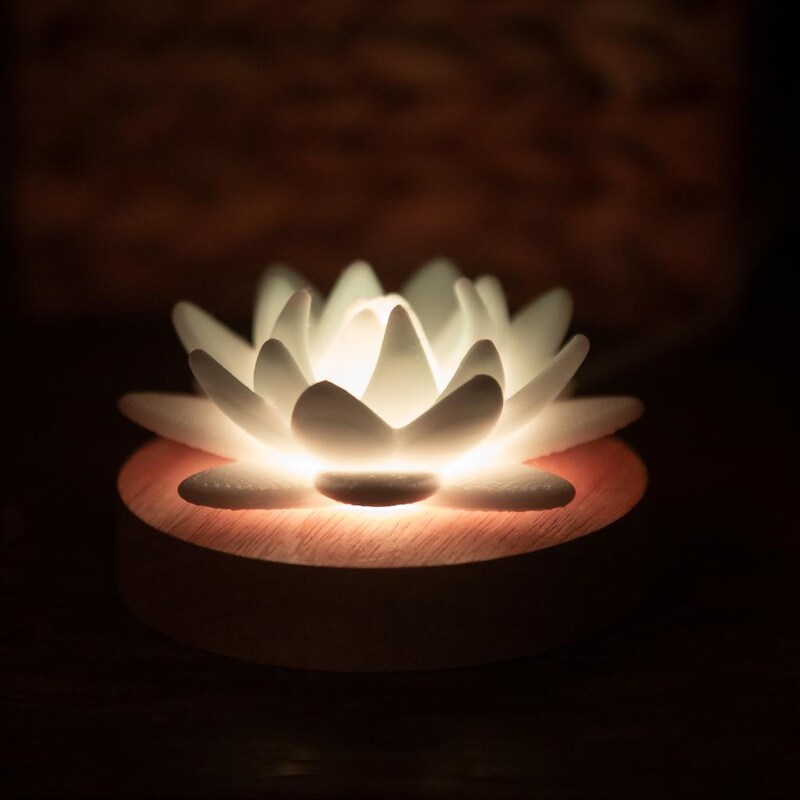 Lotus Lamp - Etsy
